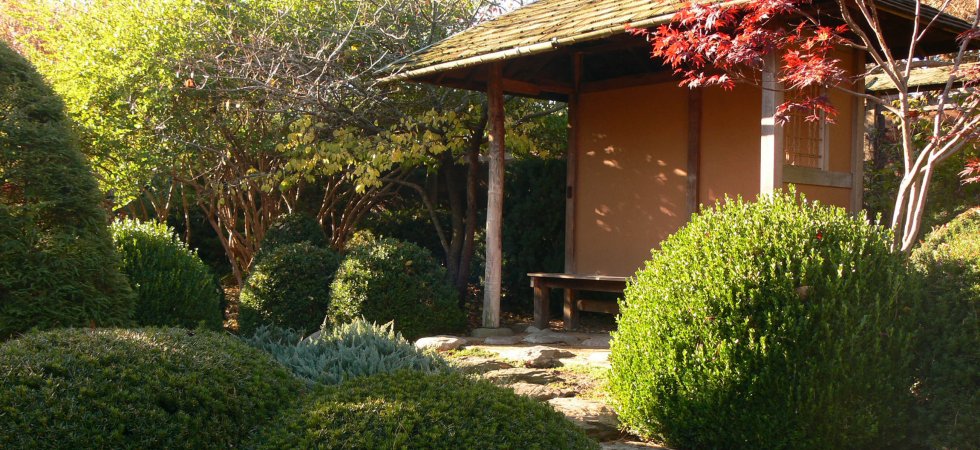 Japan House | The Tea Garden